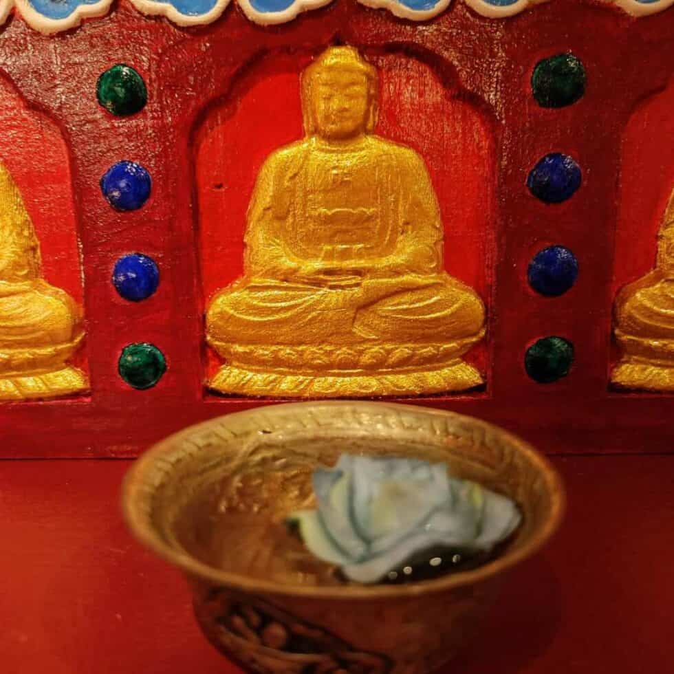 Make an Offering to the Buddhas - Dzokden Kalapa